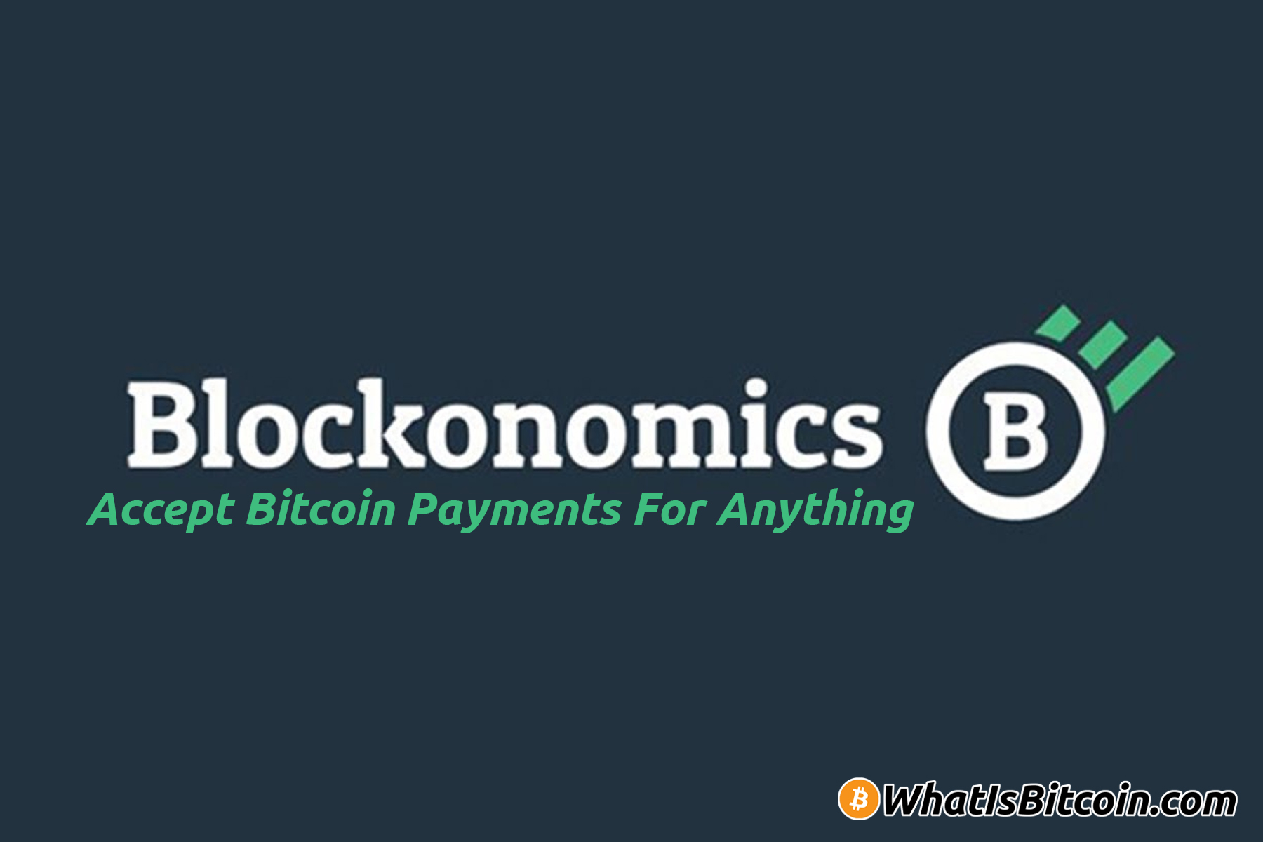 Blockonomics: An End-To-End Review