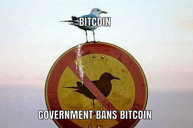 The Best Bitcoin Memes | What Is Bitcoin? The Best Bitcoin Memes | What Is Bitcoin?